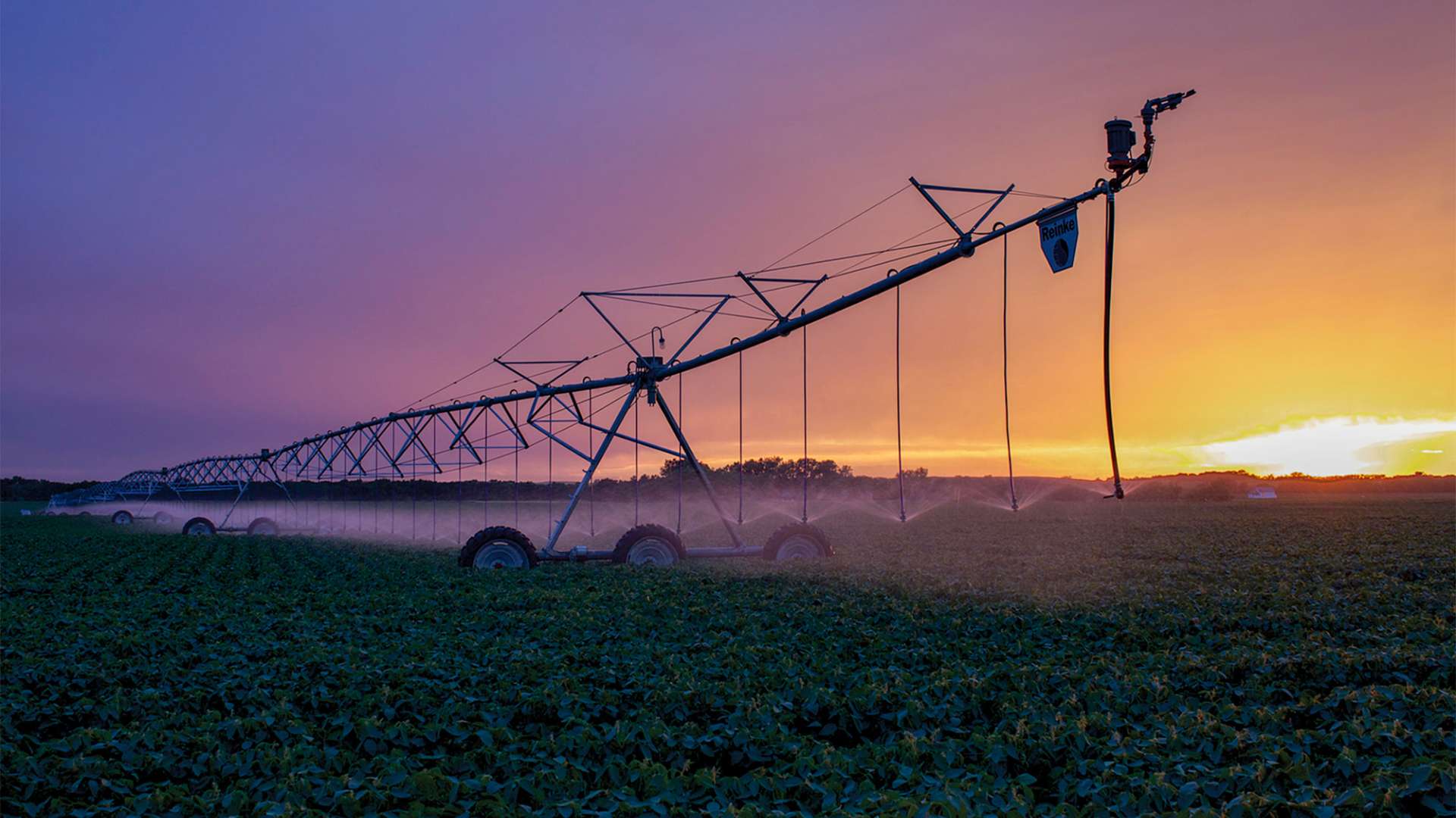 BNOP - Green 2000 Agriculture Turnkey & Projects